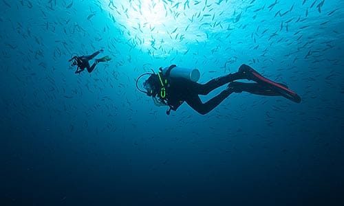 Scuba Diving in Bermuda – Scuba Dive Trips